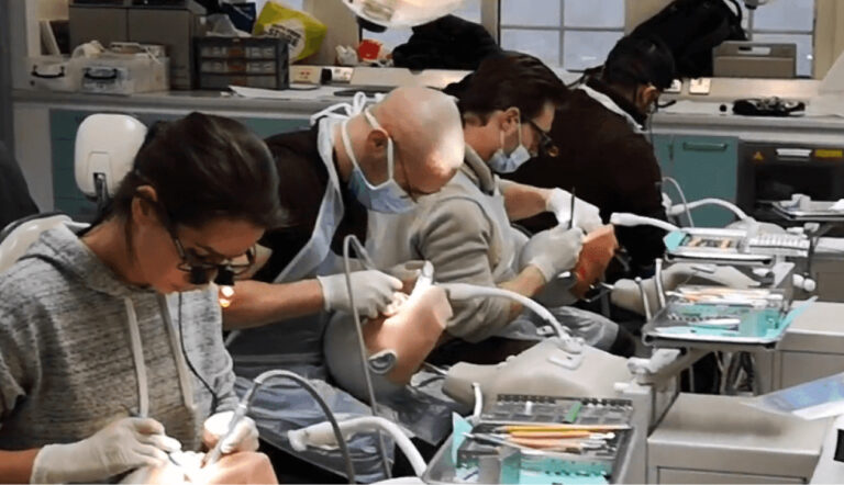 Precision Academy – Online Education & Language Courses